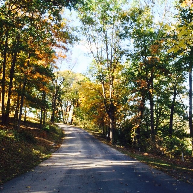 The Road Back Home – Dreamer Collaborative © 2021 Heather Broughman